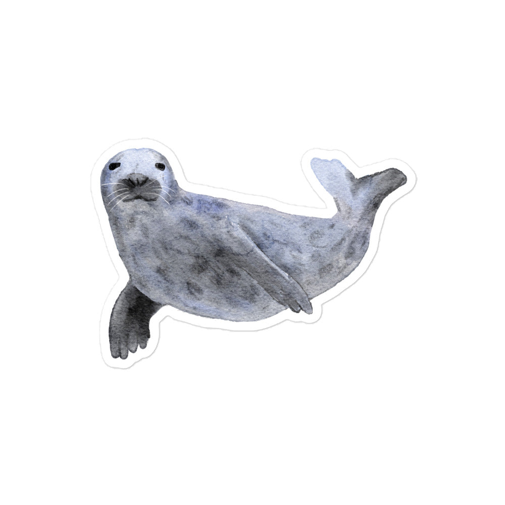 Pegatina Ilustración Foca